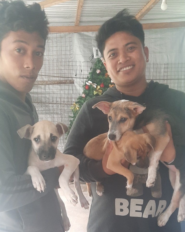 GERI • Dumaguete Animal Sanctuary