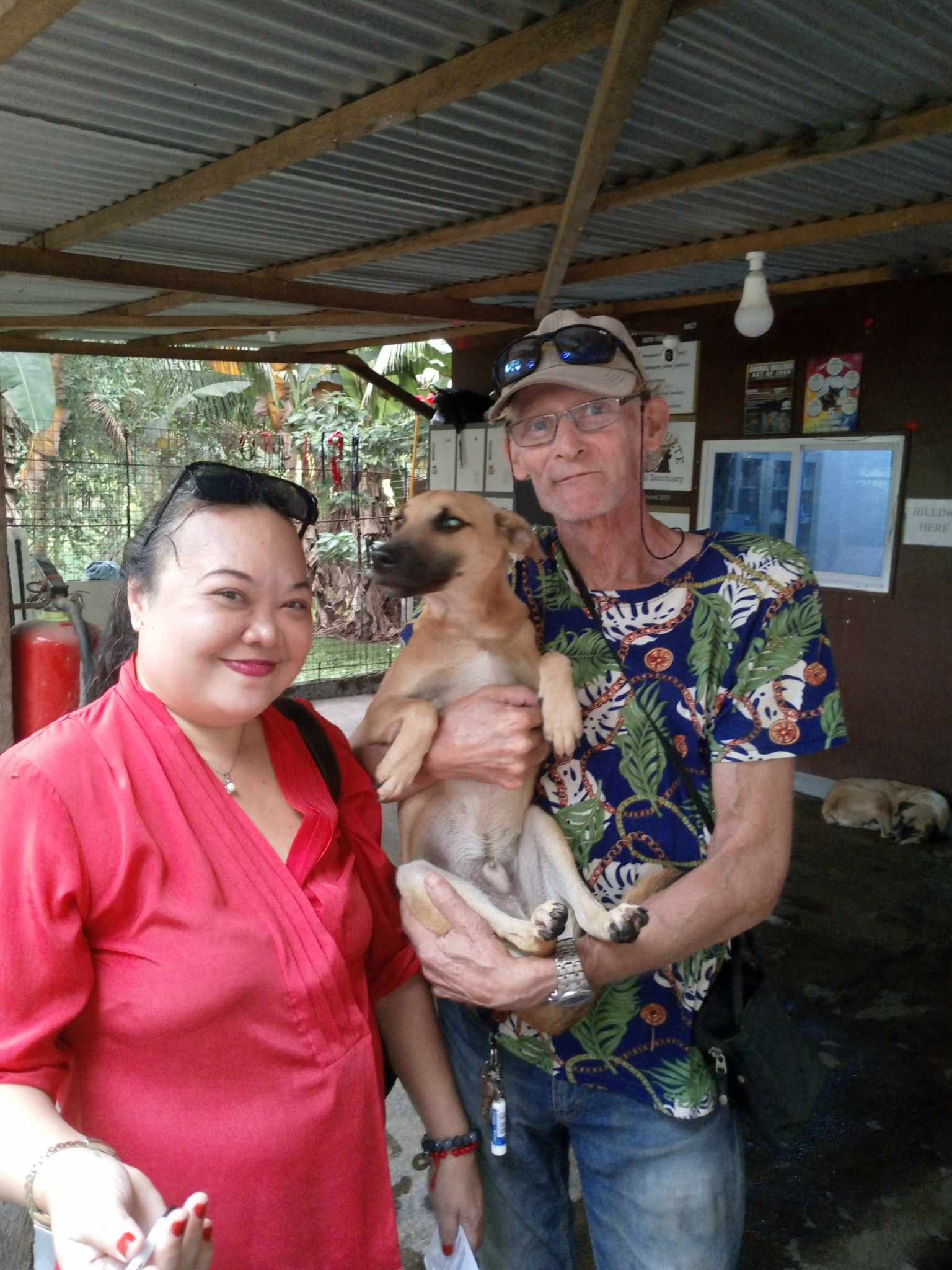 Paco adopted! • Dumaguete Animal Sanctuary